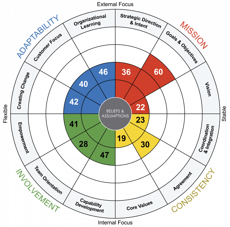 Case Study - Safran Aerosystems - Denison Consulting