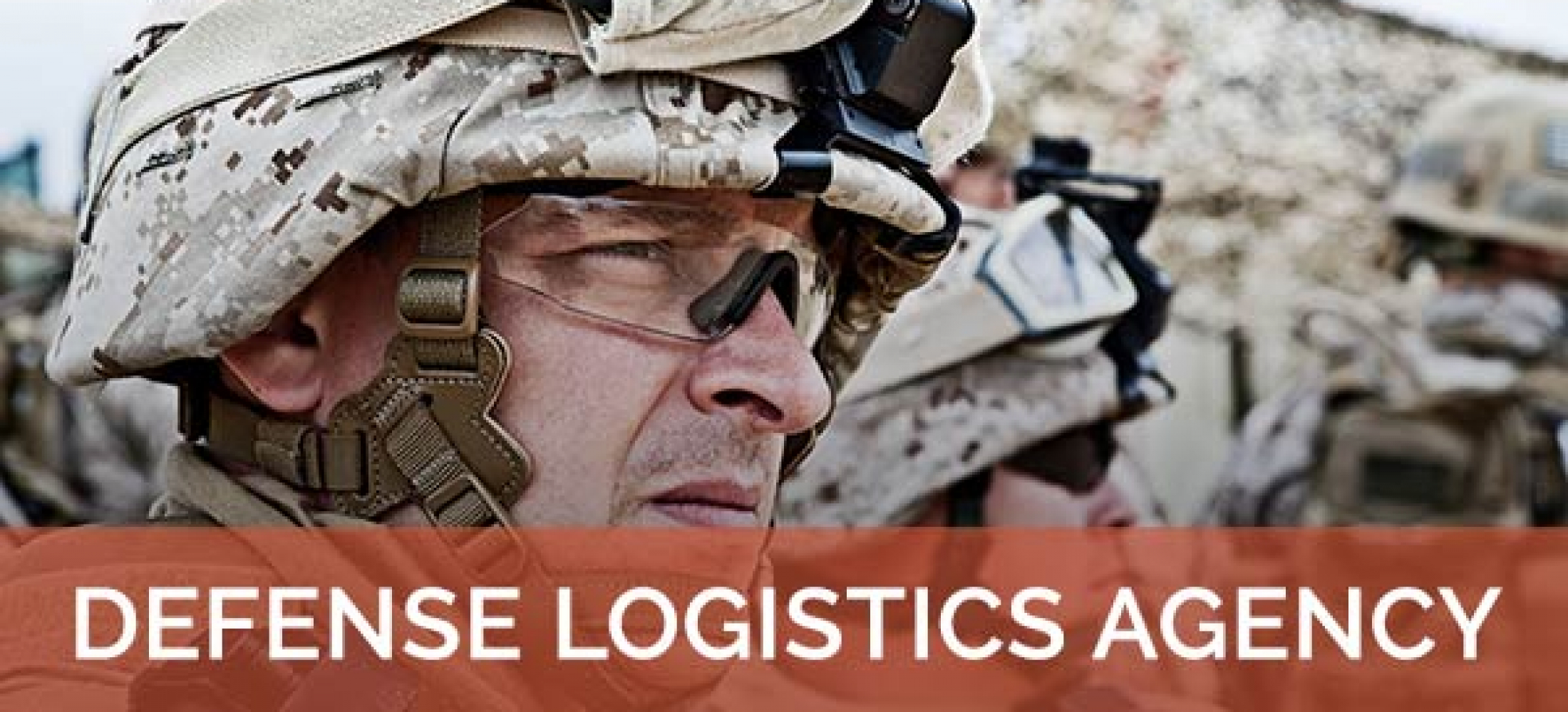 Defense Logistics Agency - Denison Consulting